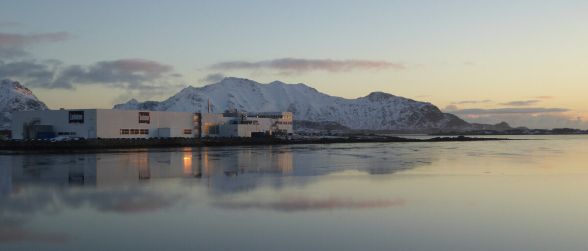 20230113-lofoten-leknes-hafen – the data cyclist